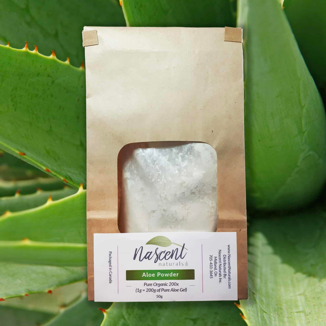 Aloe Vera Powder 200x – Nascent Naturals