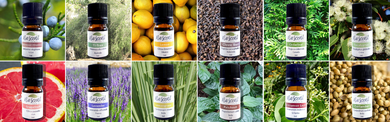 Nascent Naturals Online Store